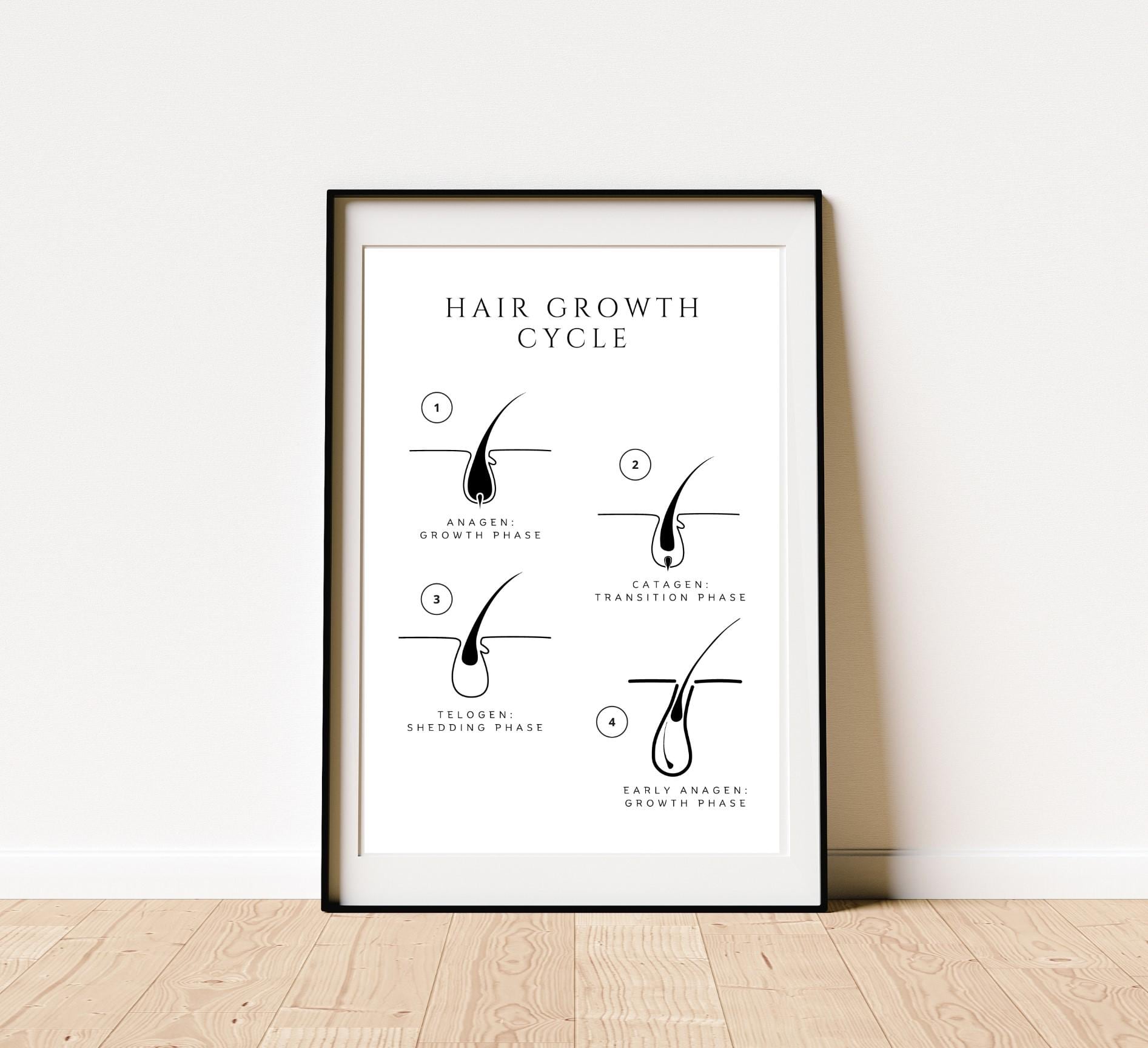 Hair Growth Cycle Phases. Hair Removal Wall Art. Esthetician Gift ...