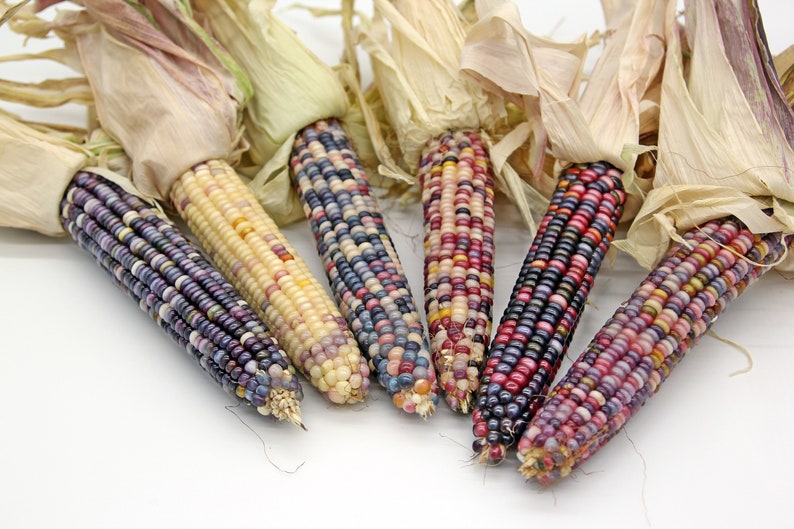 Decorative Indian Corn - Glass Gem - Etsy