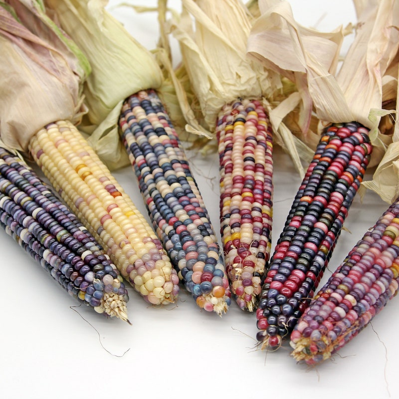 Glass Gem Corn - Etsy