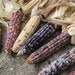 Decorative Indian Corn - Glass Gem - Etsy