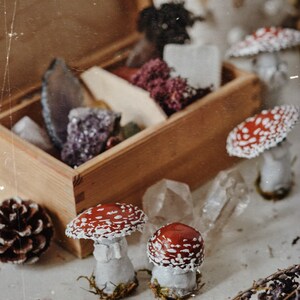 Set of 3 Miniature Polymer Mushroom Toadstool Autumn Decoration Plant ...