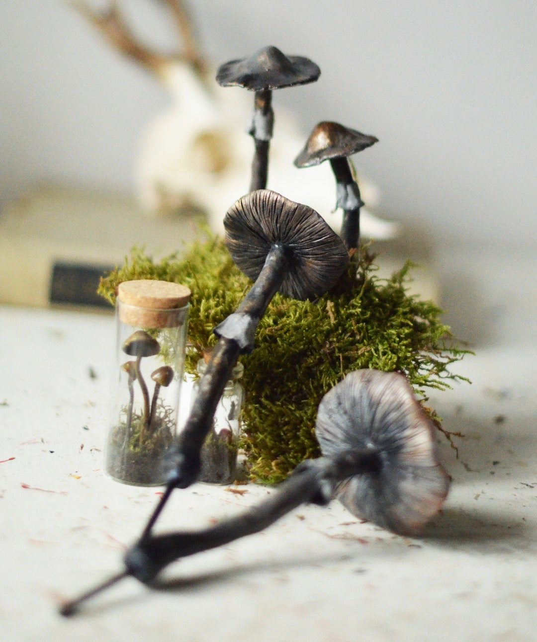 Set of 4 Mix Pieces of Black Mushrooms - Decoration for Terrarium ...