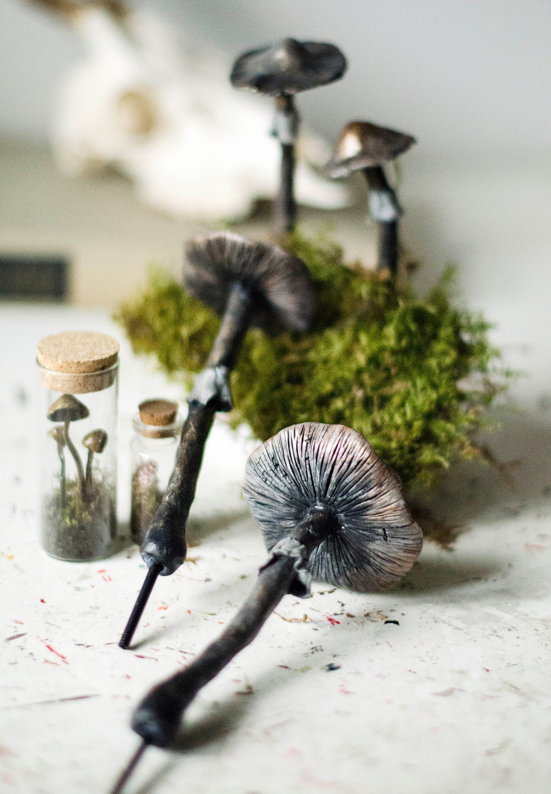 Set of 4 Mix Pieces of Black Mushrooms - Decoration for Terrarium ...