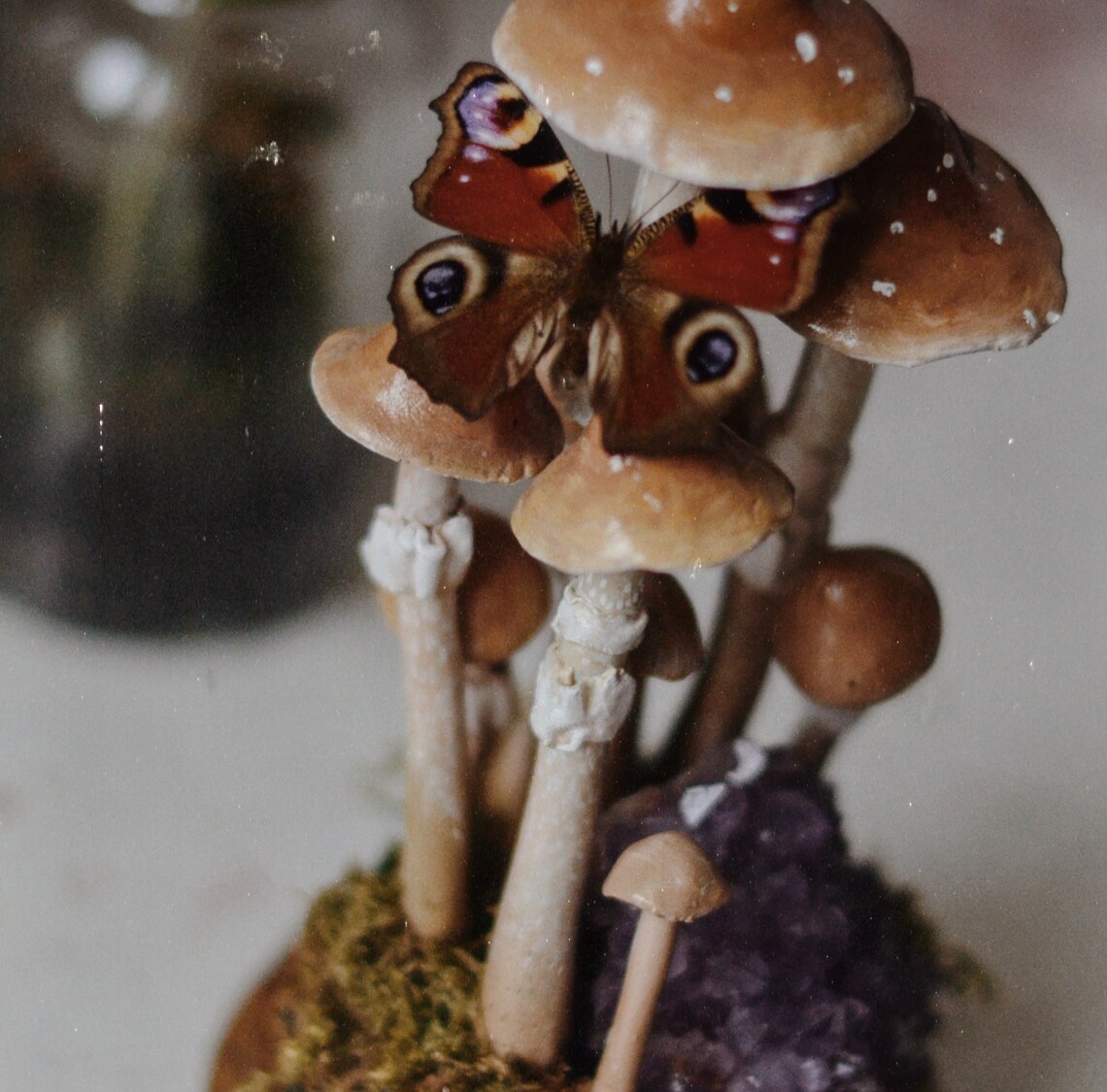 Mushroom & Amethyst Crystal Terrarium – Under Glass Dome - Magic Witchy ...
