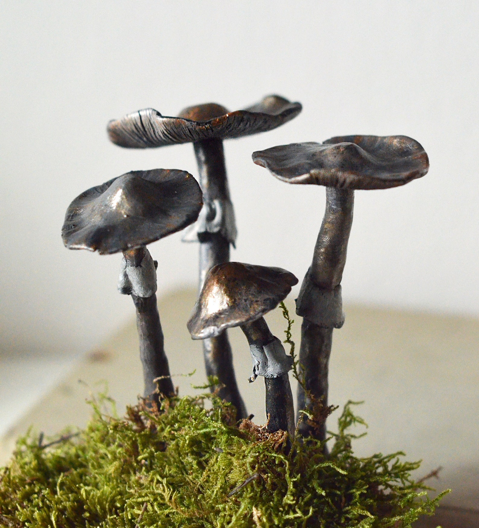 Set of 4 Mix Pieces of Black Mushrooms - Decoration for Terrarium ...