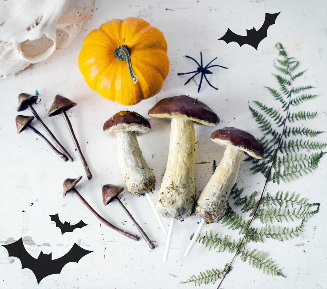 Set of 8 Mix Pieces of Mushrooms Halloween Decoration for Terrarium ...