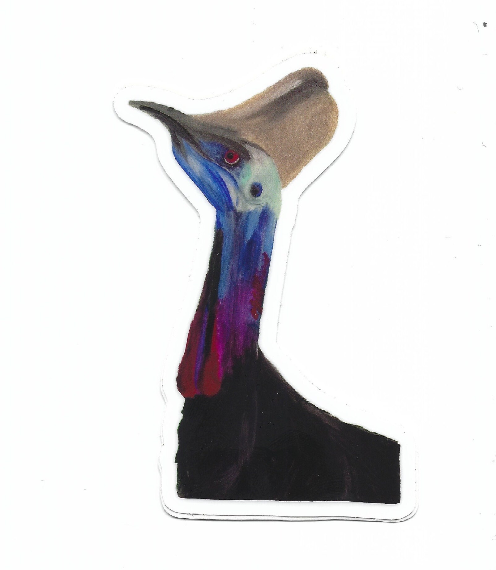 Cassowary Bird Vinyl Sticker - Etsy