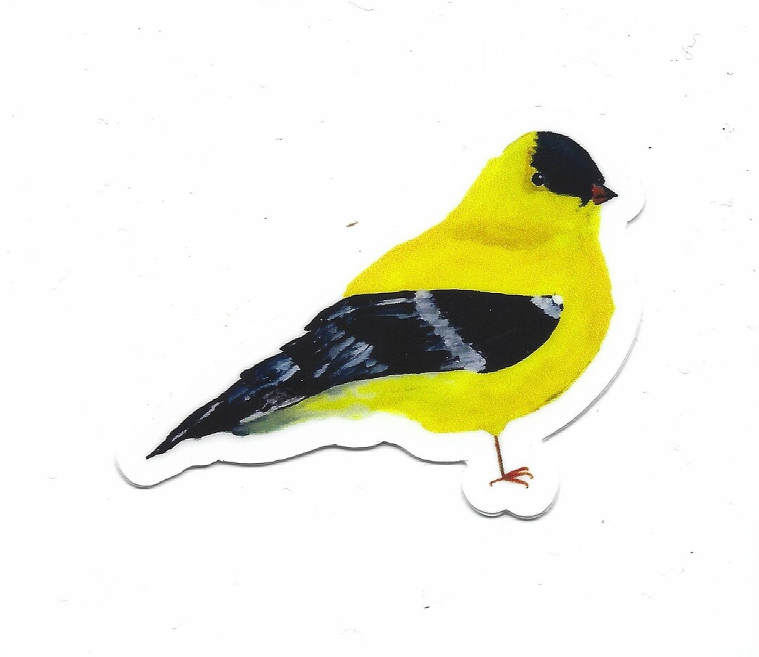 Goldfinch Vinyl Sticker - Etsy