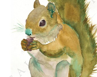 Squirrel decor | Etsy