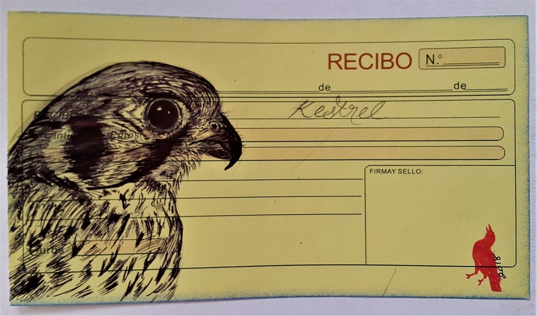 Kestrel. Bird Artwork. Birds of Prey. Falconry Gift. Bird Wall Art ...