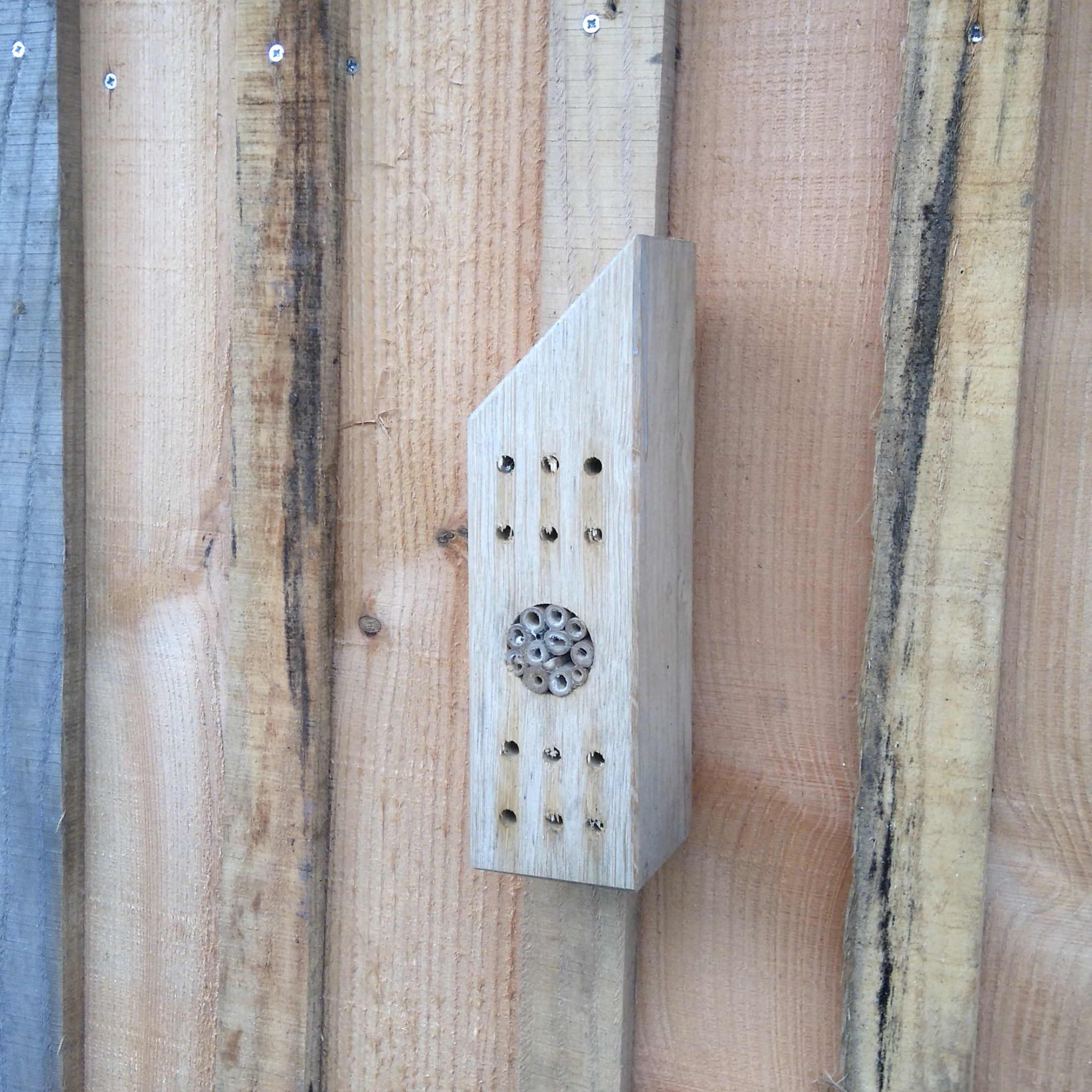 Bee Hotel, Bee House, Bug Home Handcrafted From Reclaimed Oak - Etsy UK