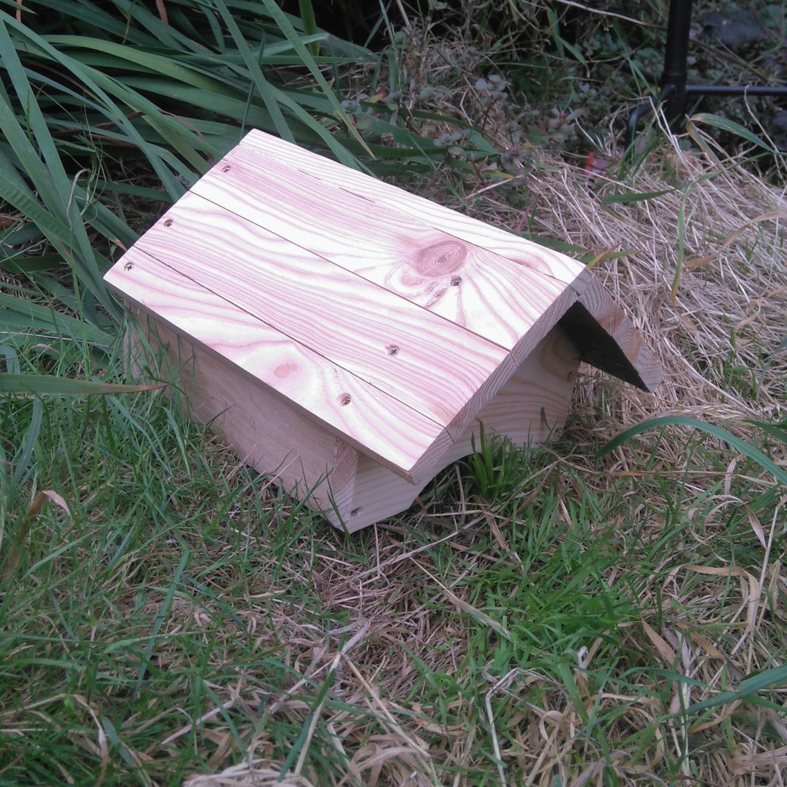 Toad Hall, Frog House - Etsy