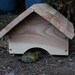Toad Hall Frog House - Etsy
