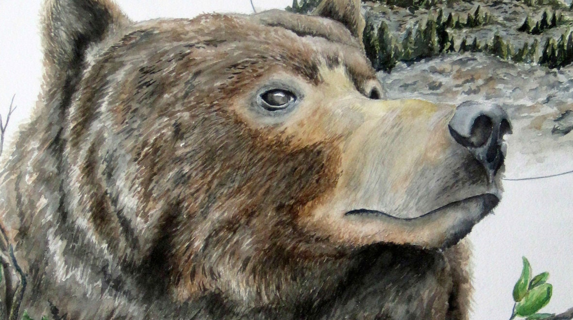 The Legend of Devil’s Tower-grizzly Bear Art Print - Etsy
