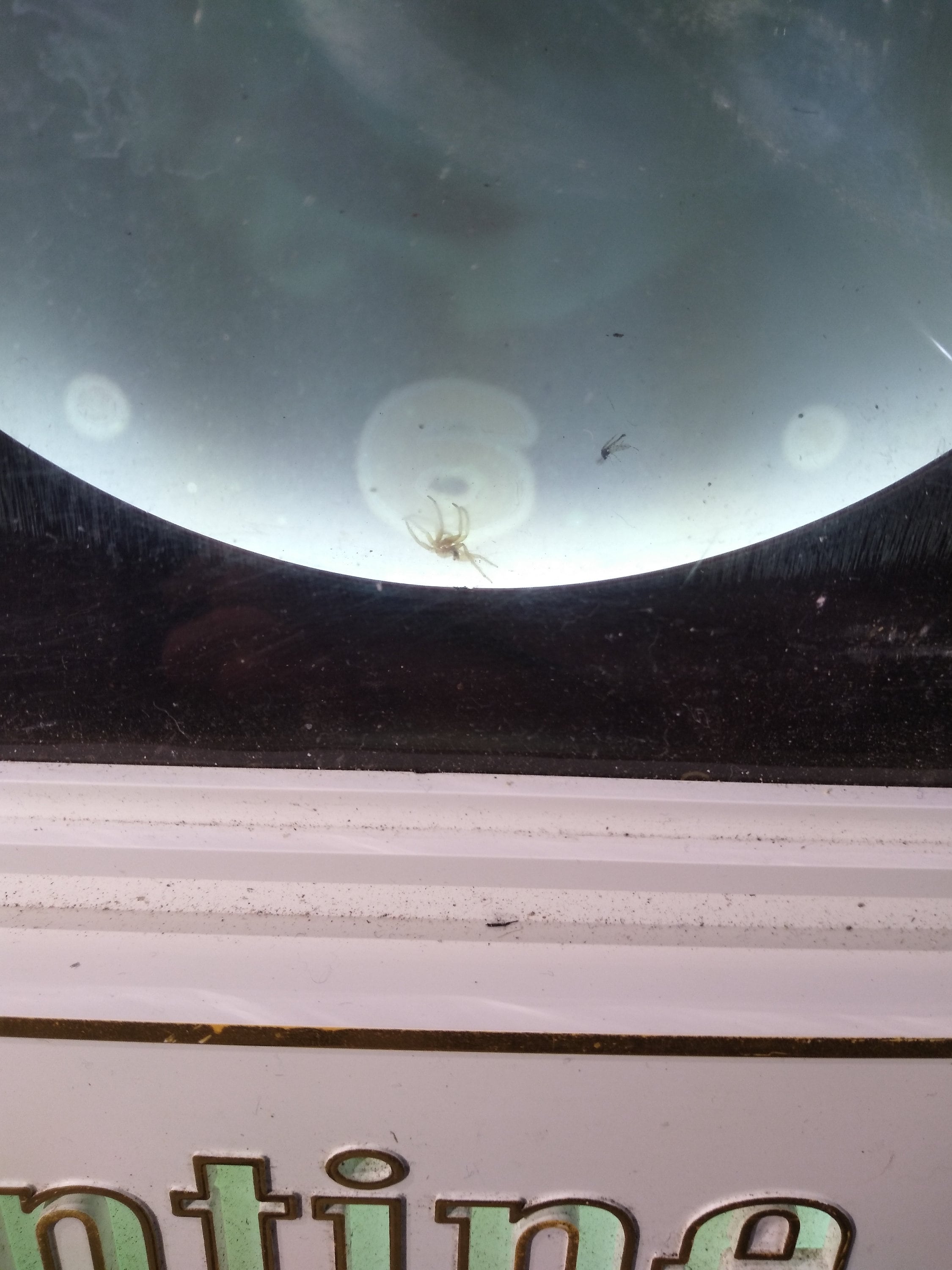 Vintage Beer Clock Light Sign Clock Part Does Not Work | Etsy