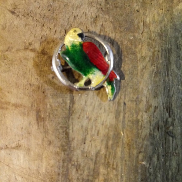 Parrot Pins - Etsy