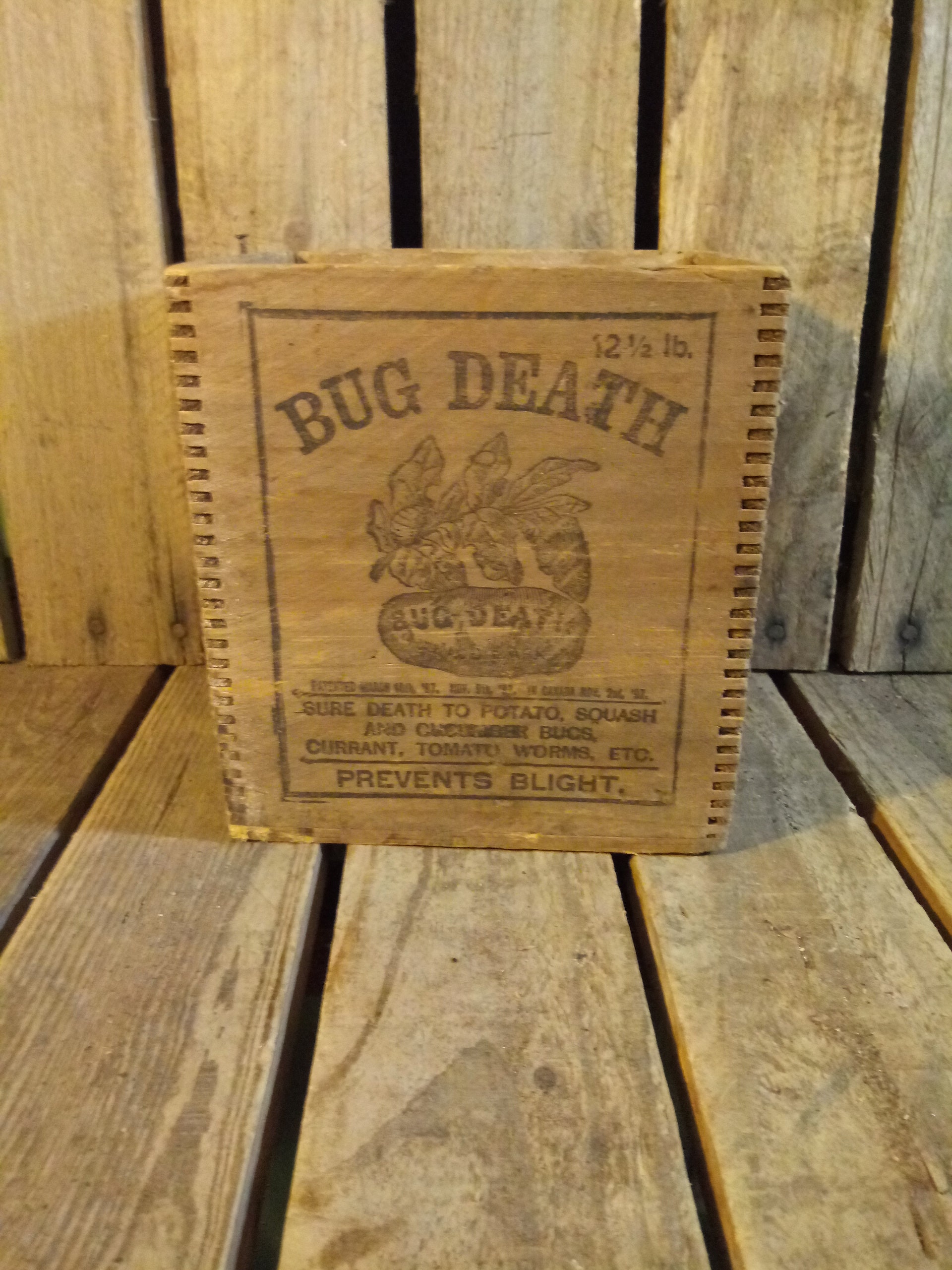 Antique Bug Death Crate Antique Pesticide Box | Etsy