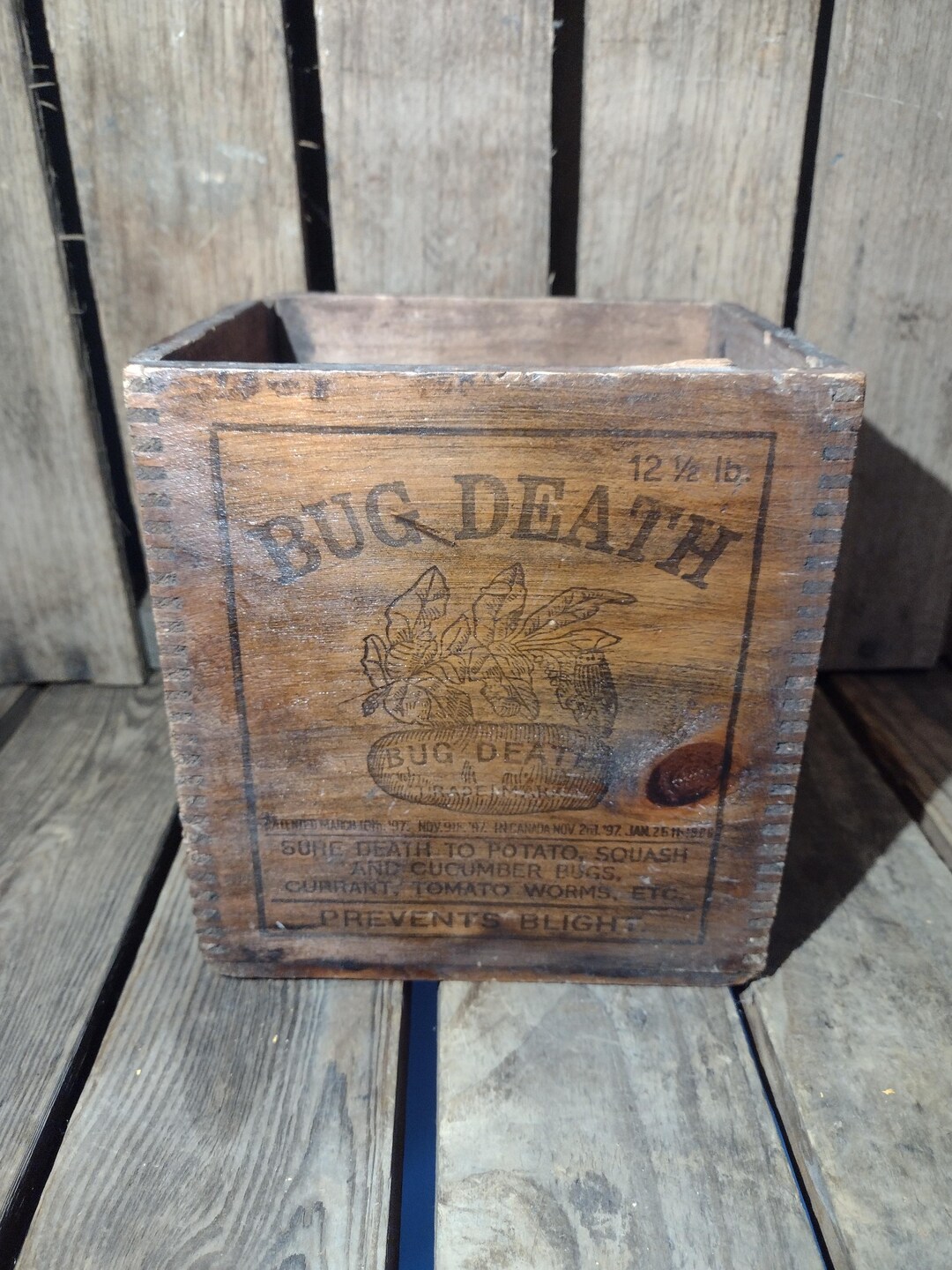 Antique Bugs Death Small Wooden Crate Box - Etsy