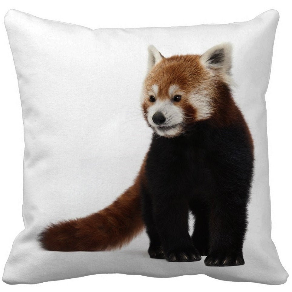 Red Panda a Decorative Pillow Case Home Decor Cushion - Etsy UK
