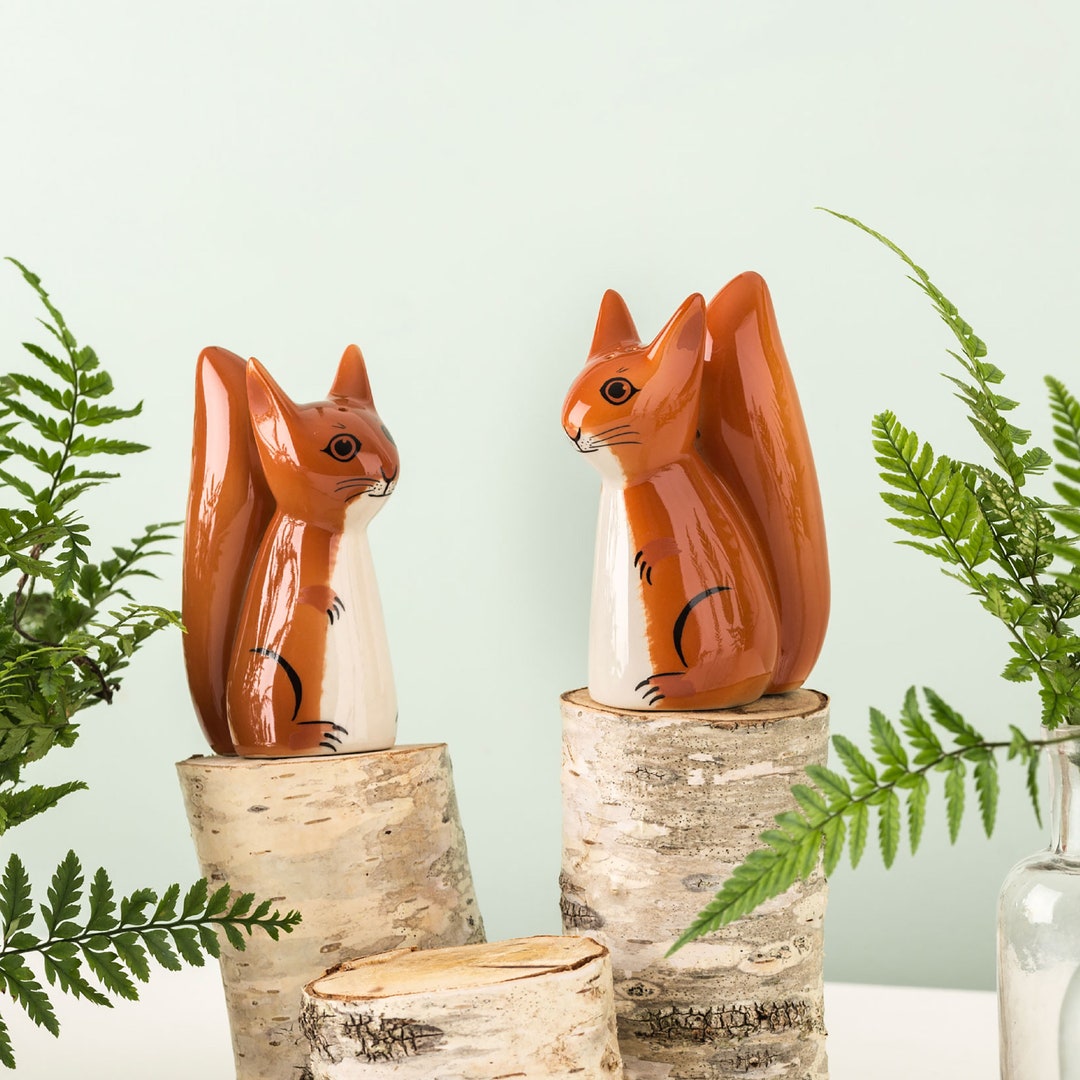Red Squirrel Salt and Pepper Shakers Retro Squirrel Salt & - Etsy