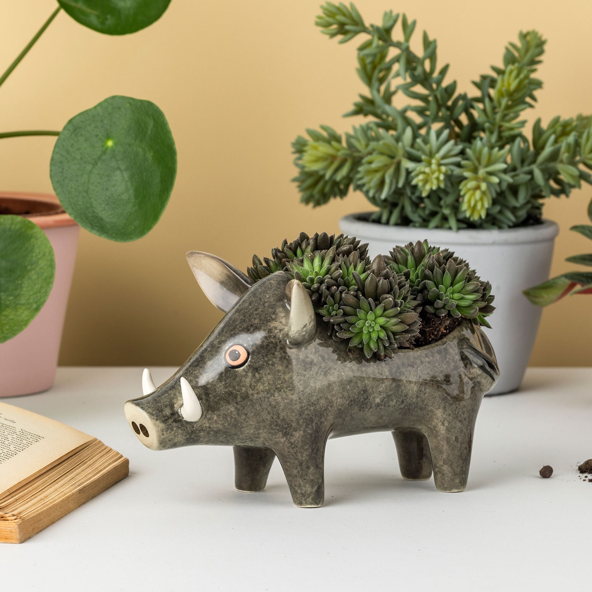 Handmade Ceramic Wild Boar Planter, Animal and Plant Lover Gift - Etsy UK