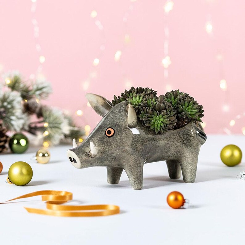 Handmade Ceramic Wild Boar Planter, Animal and Plant Lover Gift - Etsy UK