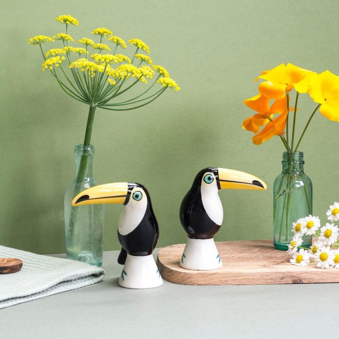Handmade Ceramic Toucan Salt and Pepper Shakers, Tucan, Pottery Gift ...