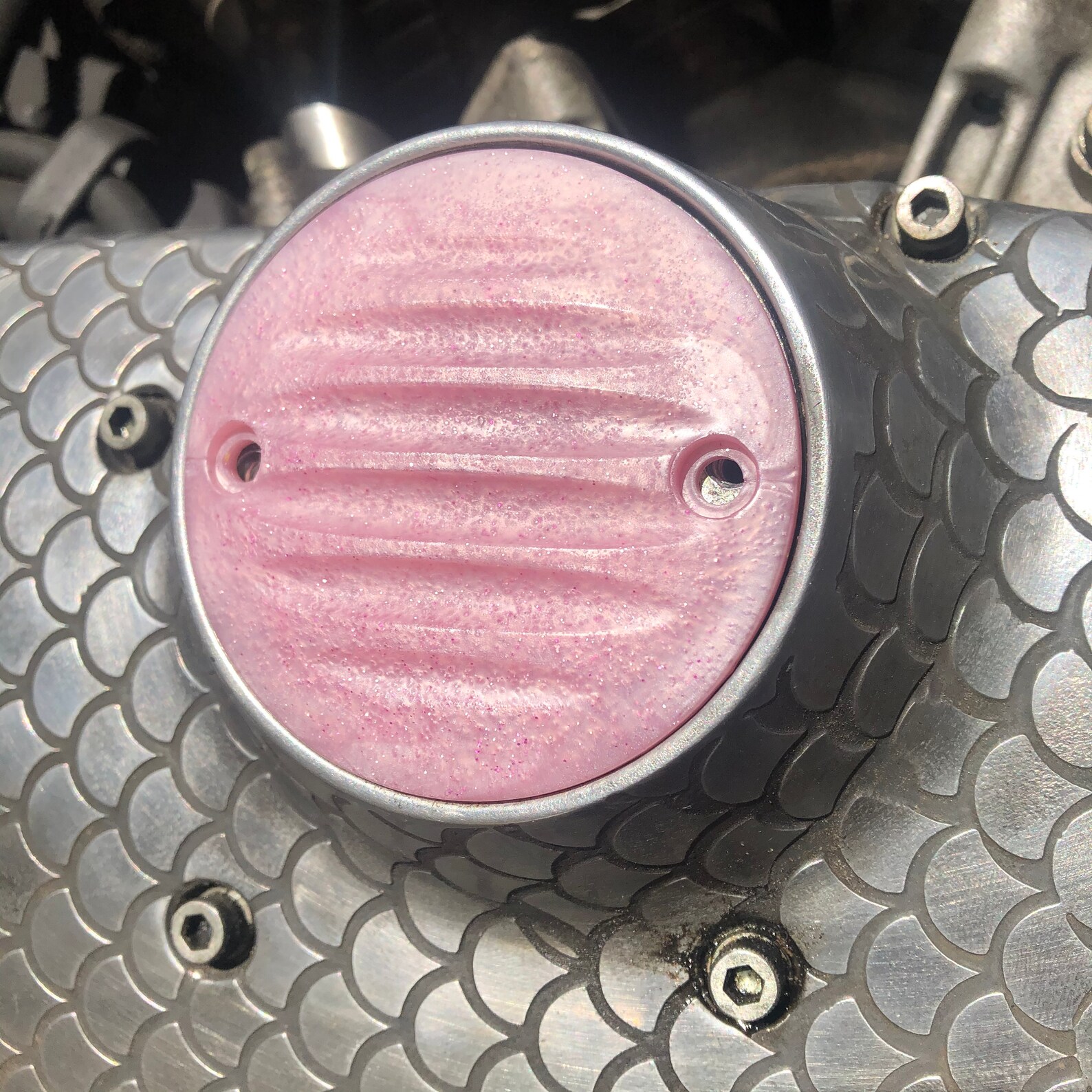 Points Cover for Harley Sportster XL Evolution Big Twins - Etsy