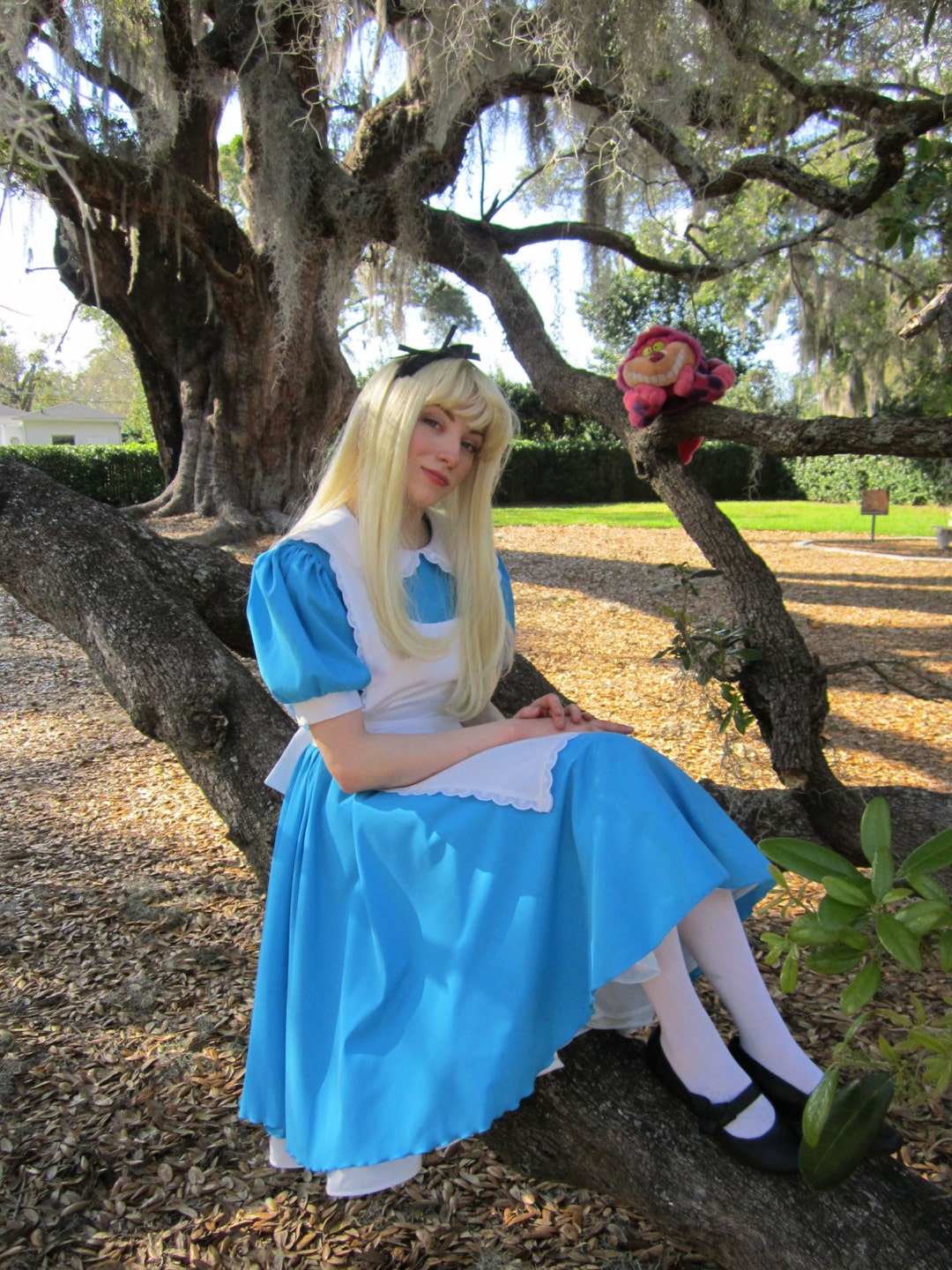 Disney Alice In Wonderland Costume Pattern