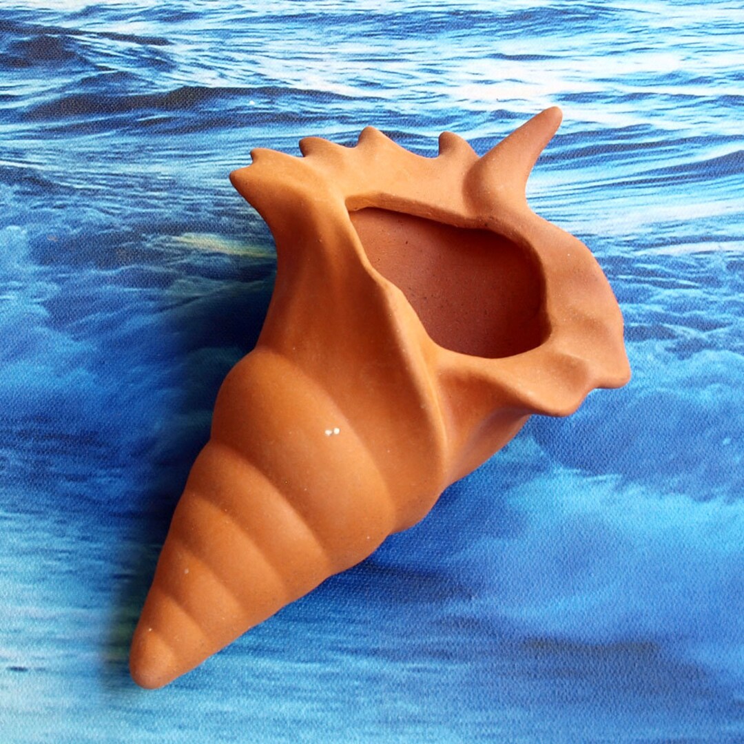 Ceramic Shell, Aquarium, Decor,mini Amphora, Clay Vase, Decorative ...