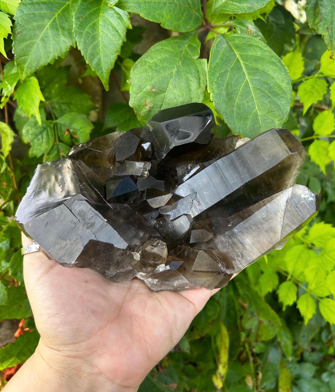 Large Smoky Quartz Standing Clusters | Healing Protection Crystal ...