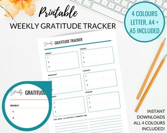 30 Day Gratitude Challenge Gratitude Journal Gratitude Tracker - Etsy