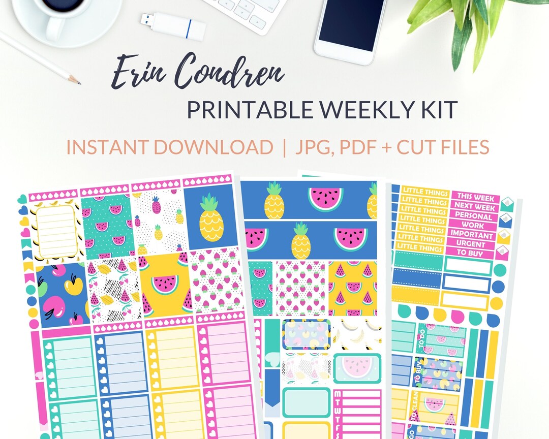 PRINTABLE SUMMER Planner Stickers, Weekly Planner Kit Erin Condren ...
