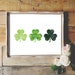 Three Shamrocks Shamrock Printable St Patrick's Day | Etsy