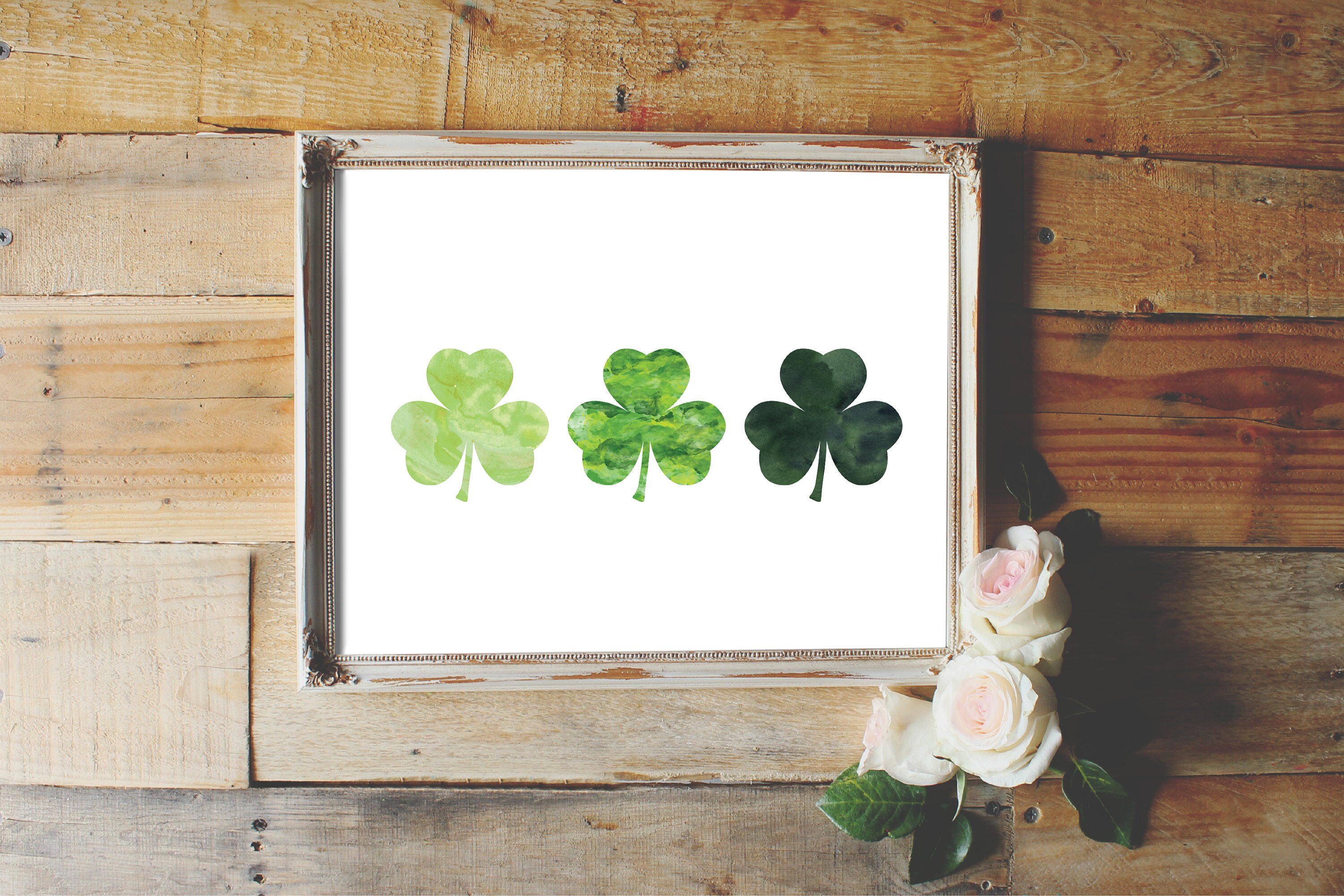 Three Shamrocks Shamrock Printable St Patrick's Day - Etsy