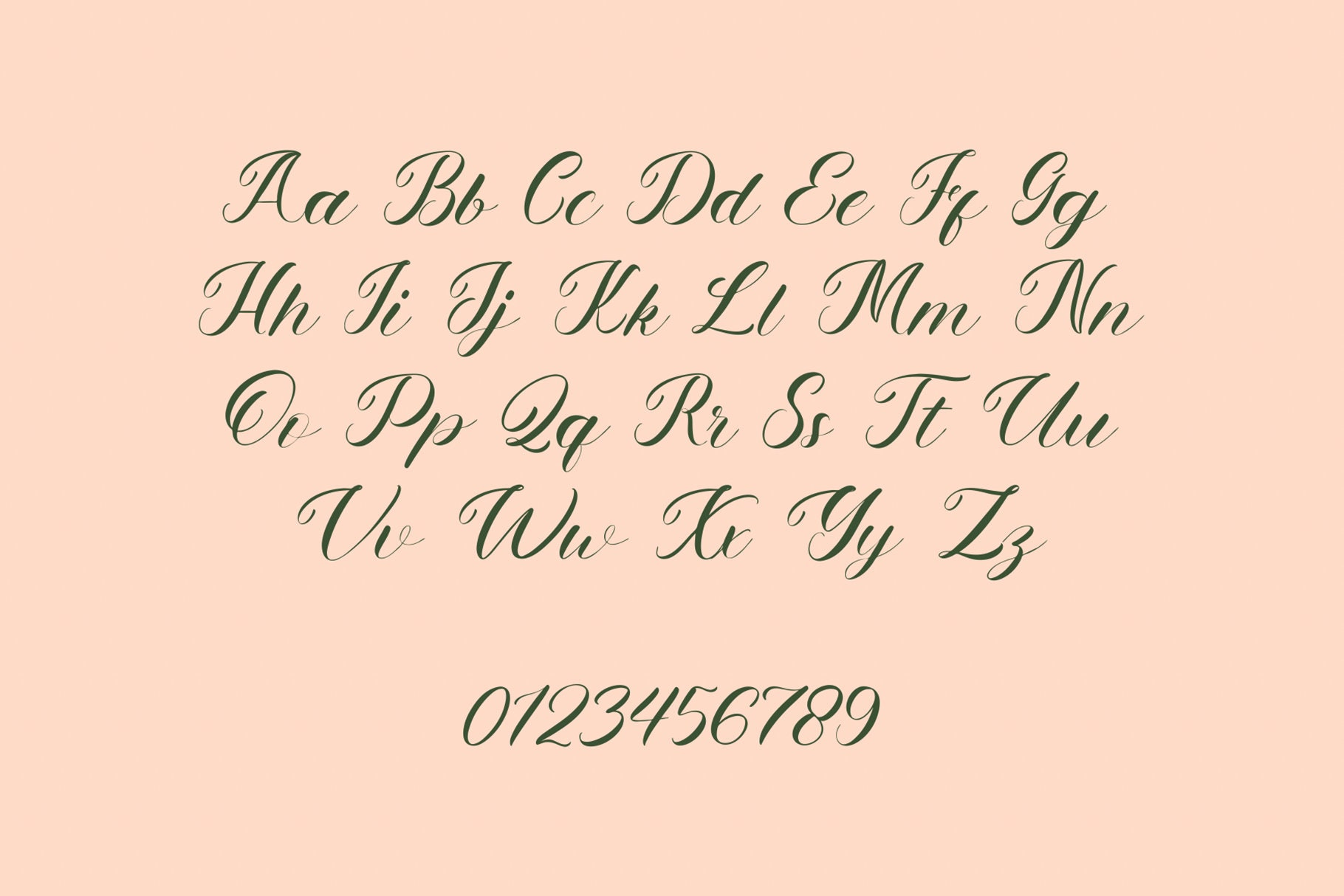 NCL LETS WENDY Calligraphy Wedding Font Commercial - Etsy