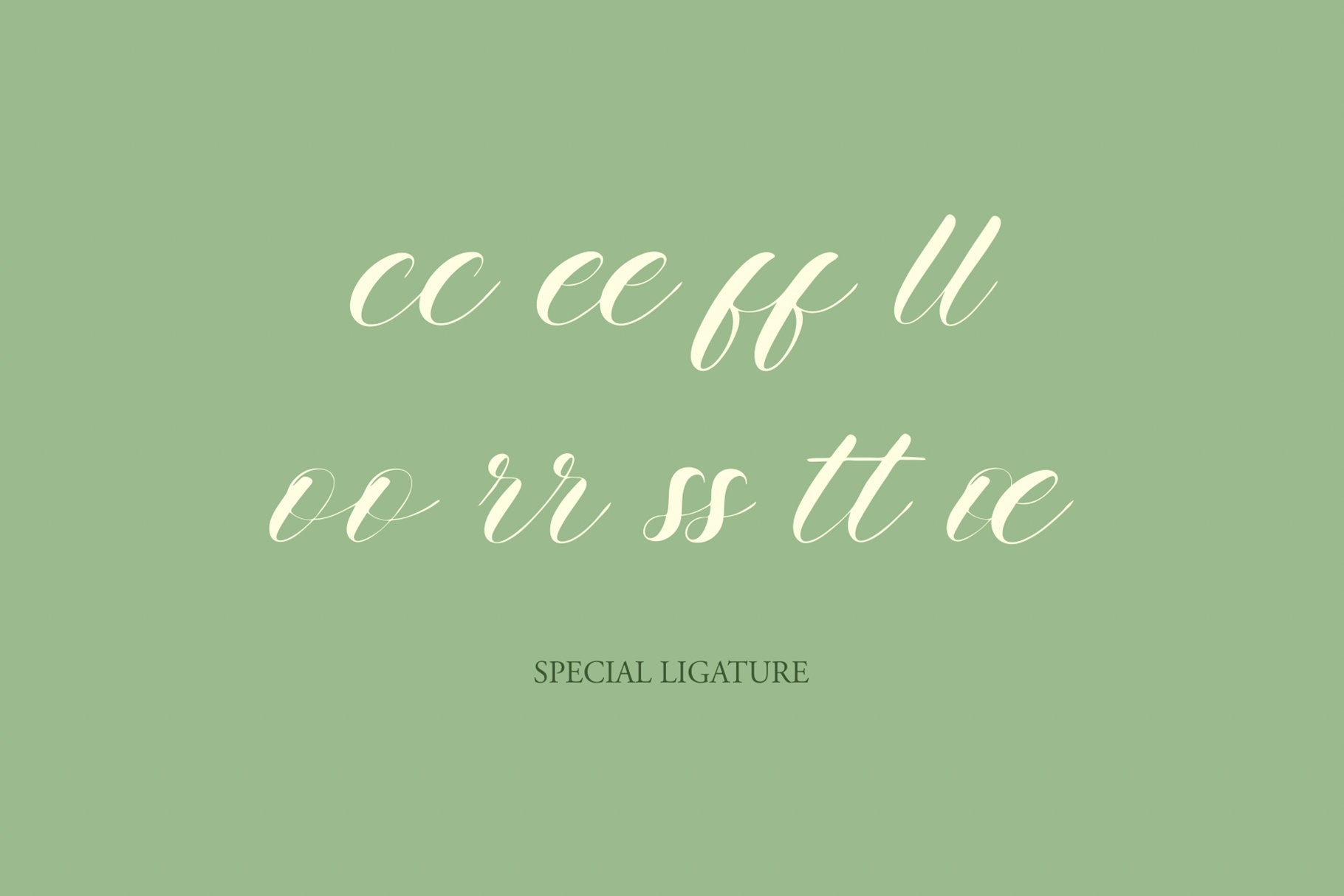 NCL LETS WENDY Calligraphy Wedding Font Commercial - Etsy