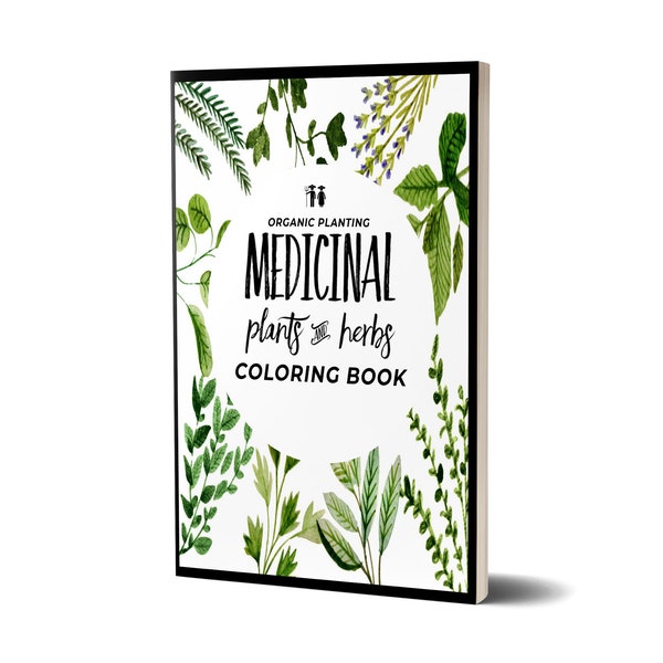 Medicinal Herb - Etsy