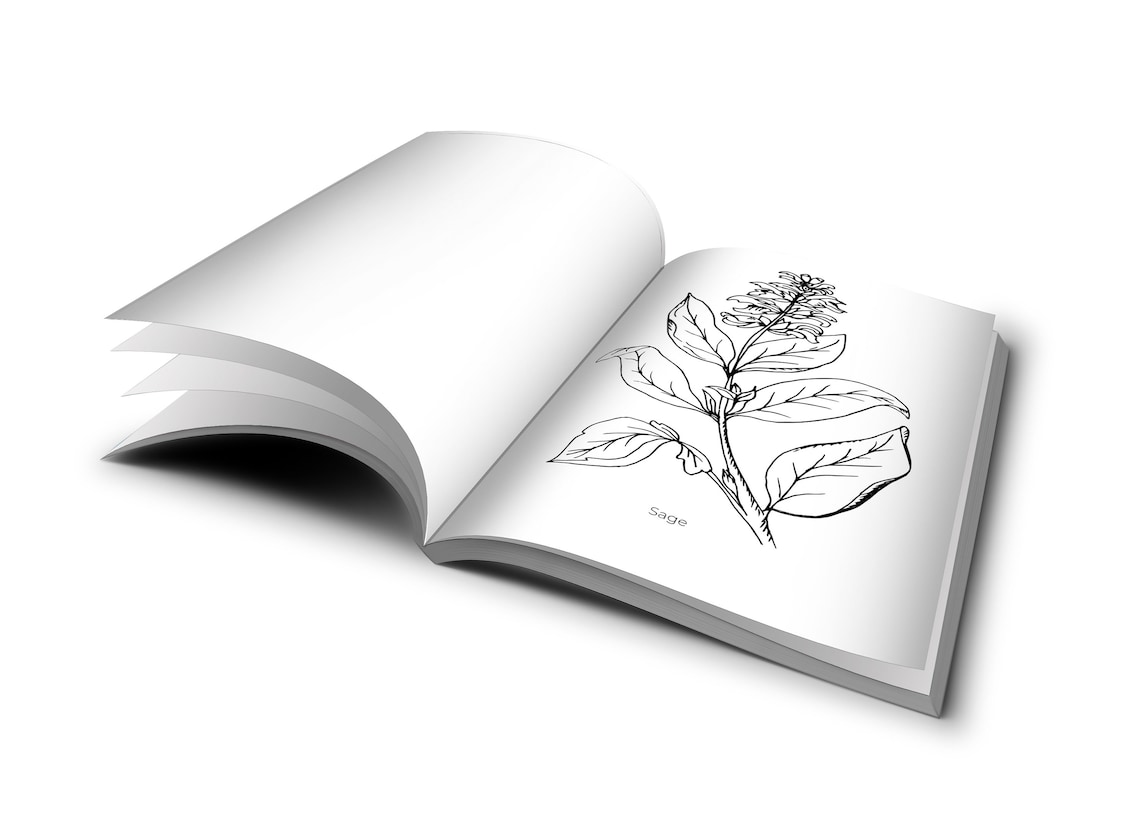 Medicinal Herb Plant Coloring Book Herb Garden Coloring Pages | Etsy