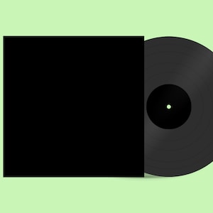 Custom 12 Vinyl Record Playlist Pictures on Cover and Labels ...