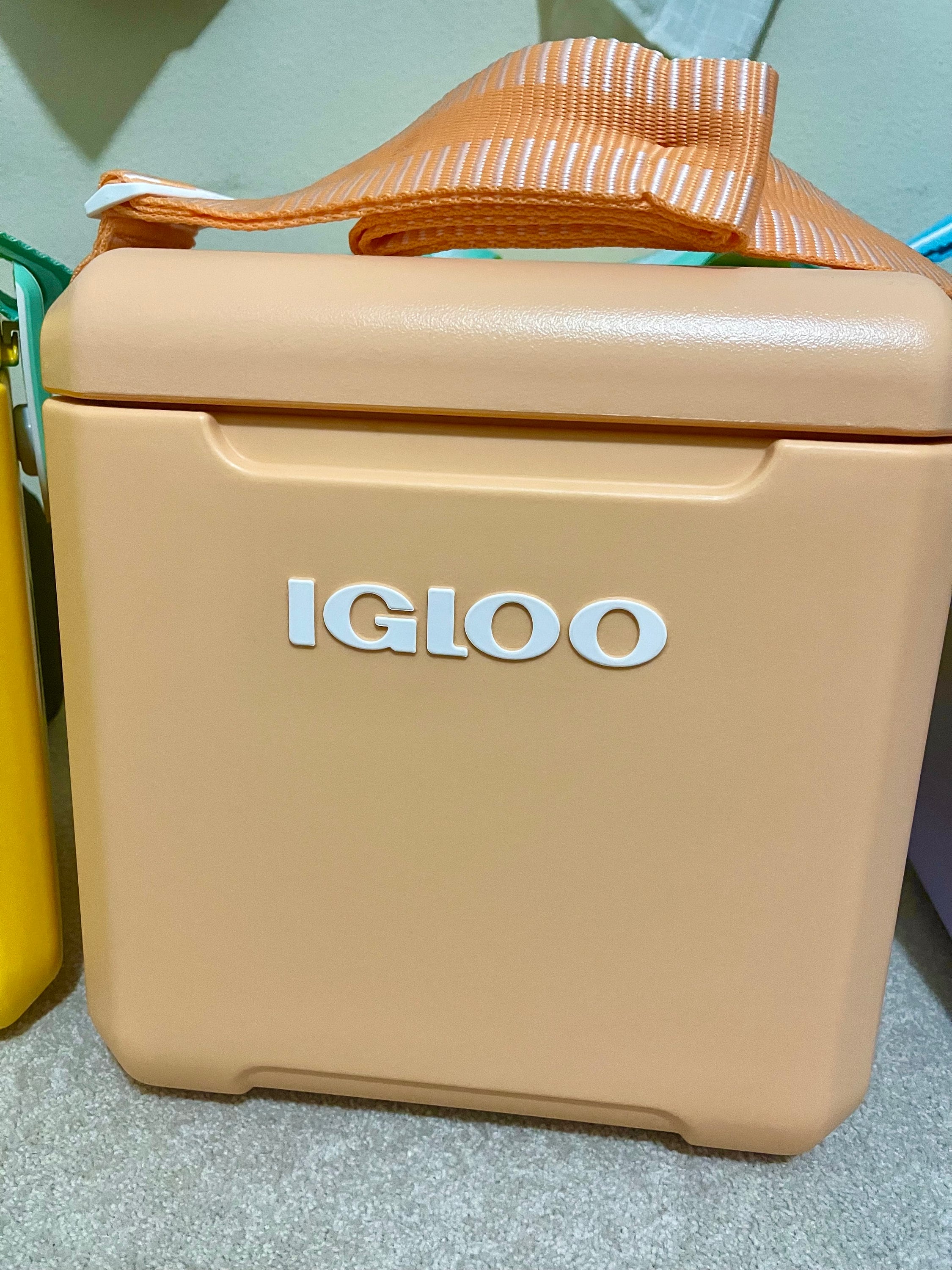 Igloo Cooler Speaker Wireless Rechargable Bluetooth - Etsy