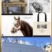 Photography Logo Design, Camera Branding Kit, Premade Logo Package ...