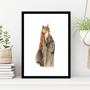 Red Squirrel Art Print, British Wildlife, Artist - Etsy UK