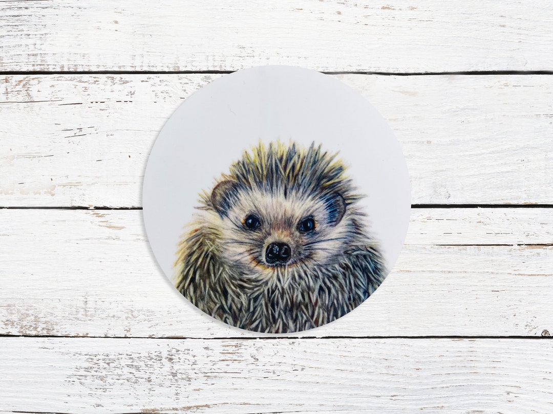 Hedgehog Coaster Design 2, Wildlife Artist - Etsy