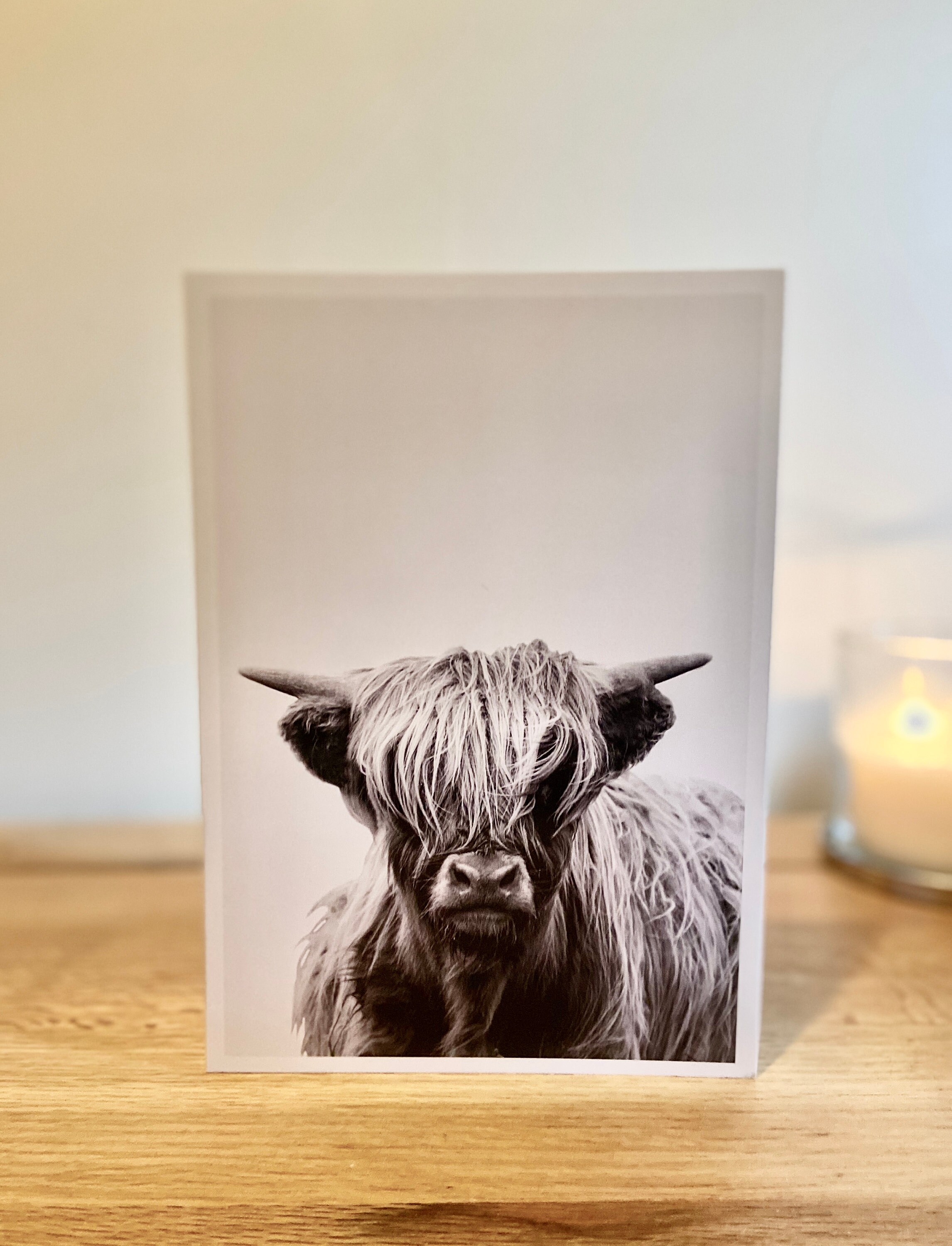 Highland Cow Greeting Card Wildlife Photography | Etsy