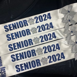 Senior Cheer Sashes - Etsy