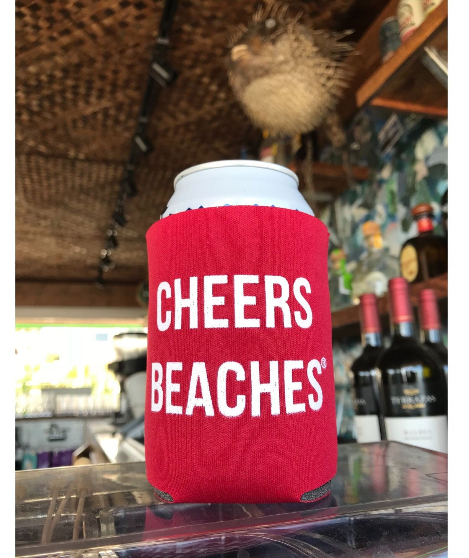Cheers Beaches Can Cooler Beer Can Koozie Beach Beer Drink Sleeve ...