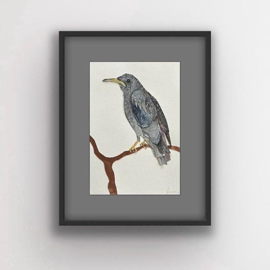 Starling Collage 7x10 Cut Paper Collage Original Art Bird Art Bird ...