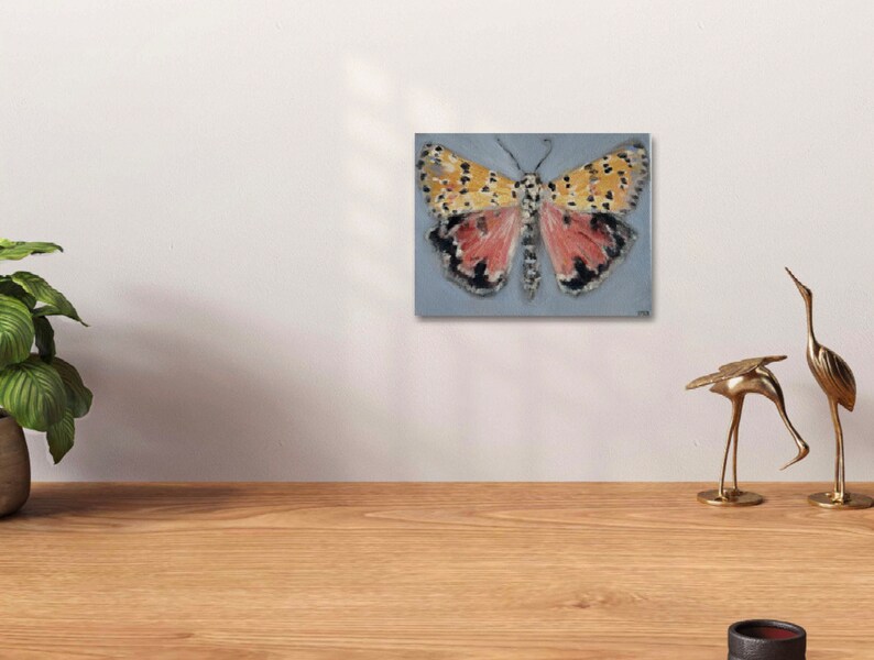 Bella Moth 8x10 Original Artwork Hand Painted Original - Etsy