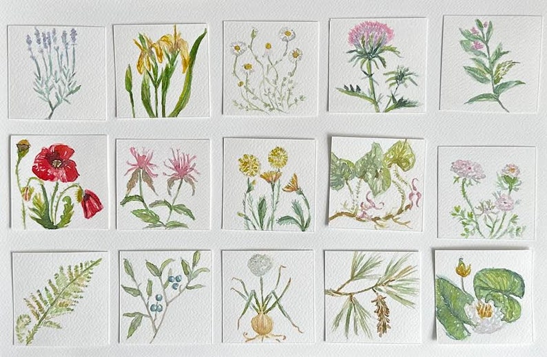 Flowers and Plants 3x3 Original Hand Painted Watercolor - Etsy